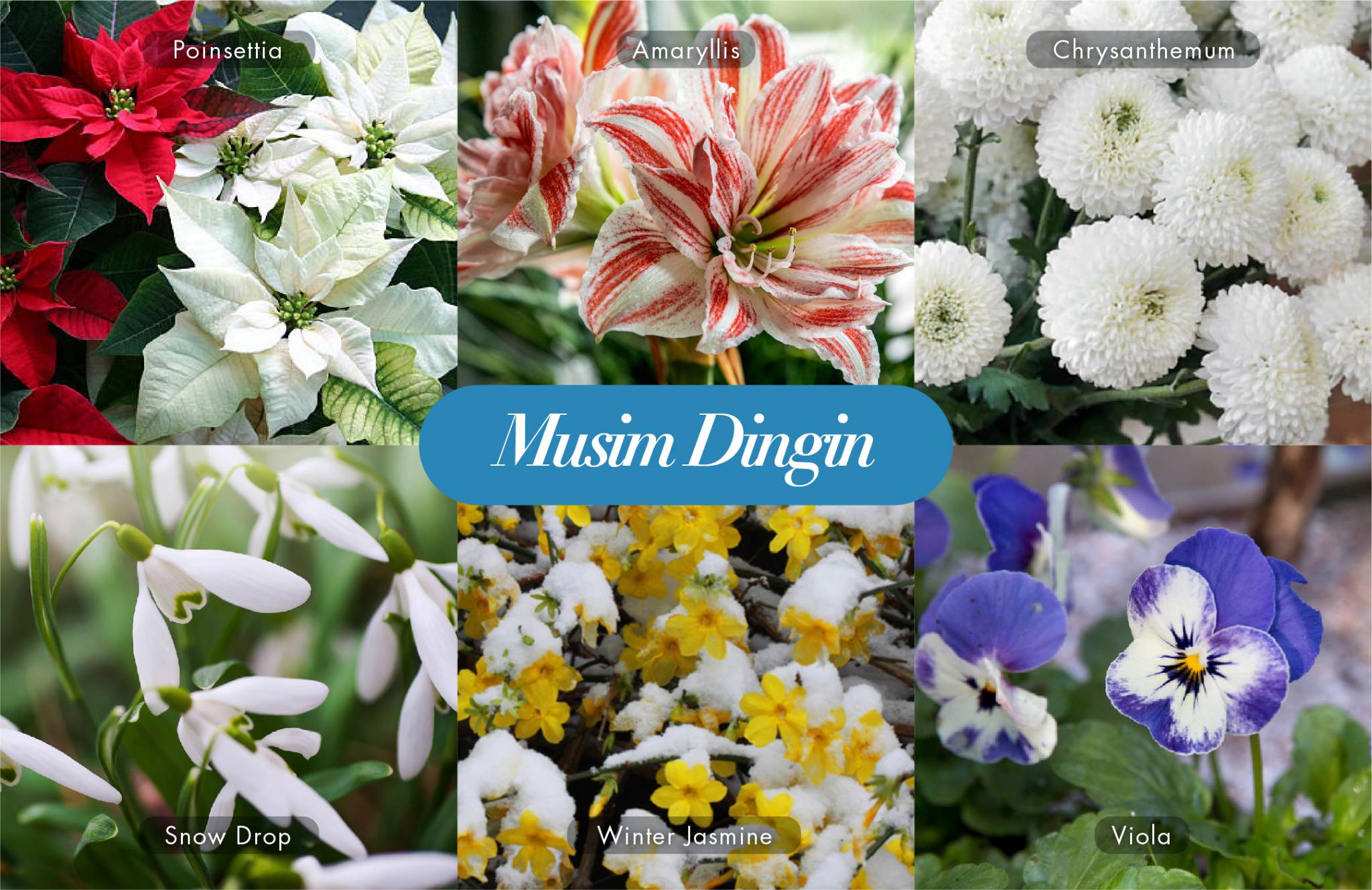 Pilihan Bunga untuk Dekorasi Pernikahan Berdasarkan Musim | Weddingku.com