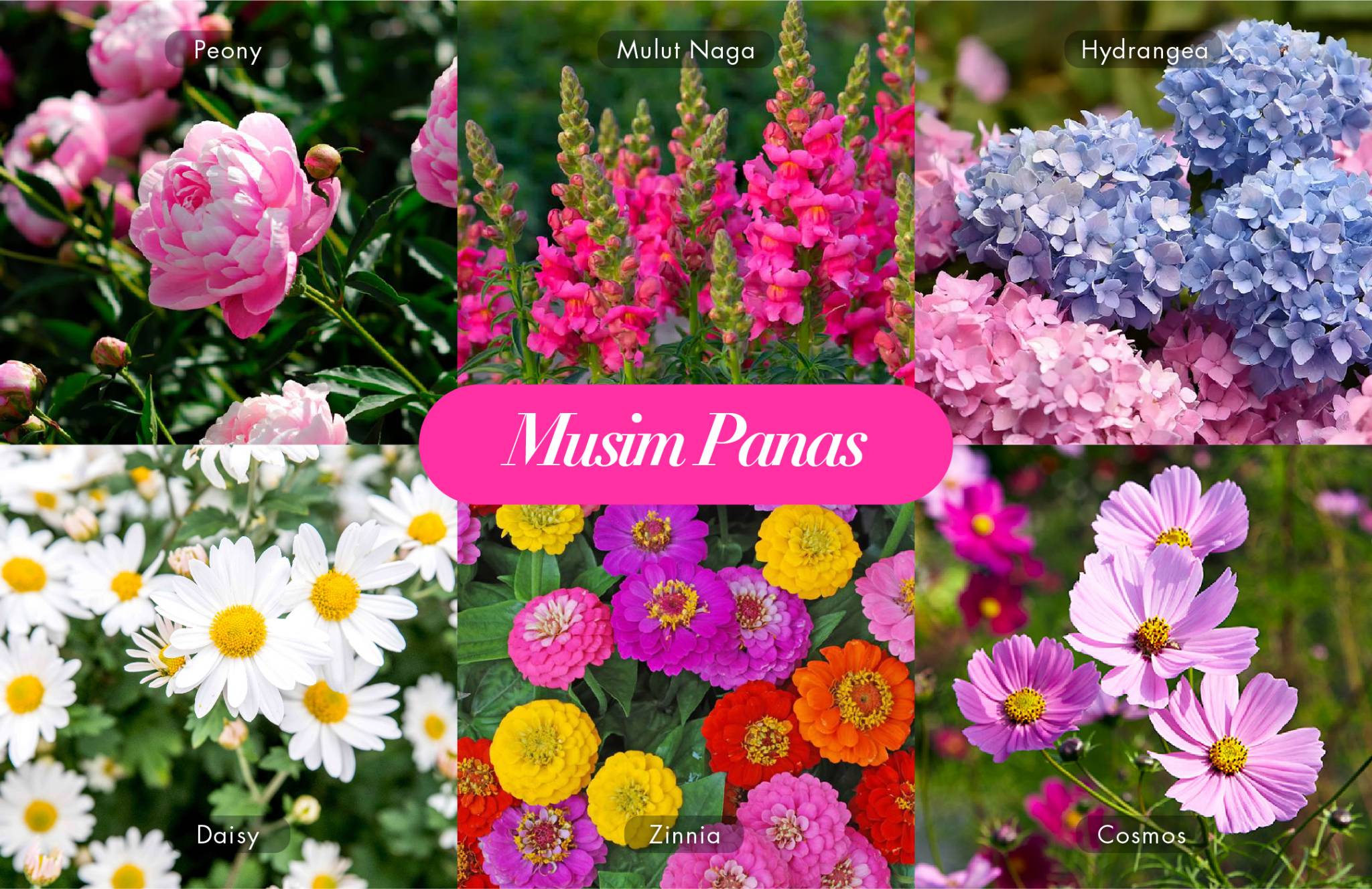 Pilihan Bunga untuk Dekorasi Pernikahan Berdasarkan Musim | Weddingku.com