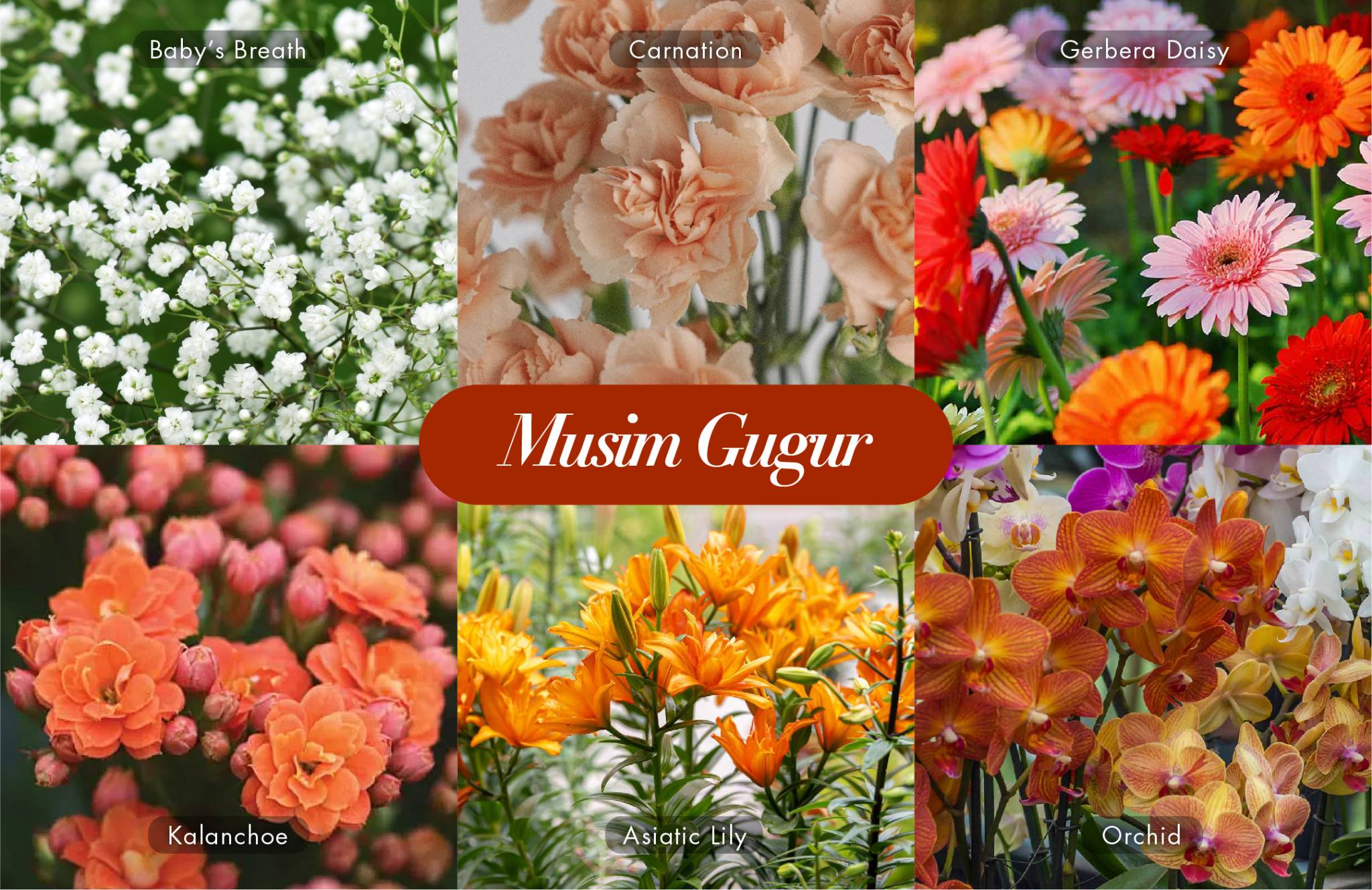 Pilihan Bunga untuk Dekorasi Pernikahan Berdasarkan Musim | Weddingku.com