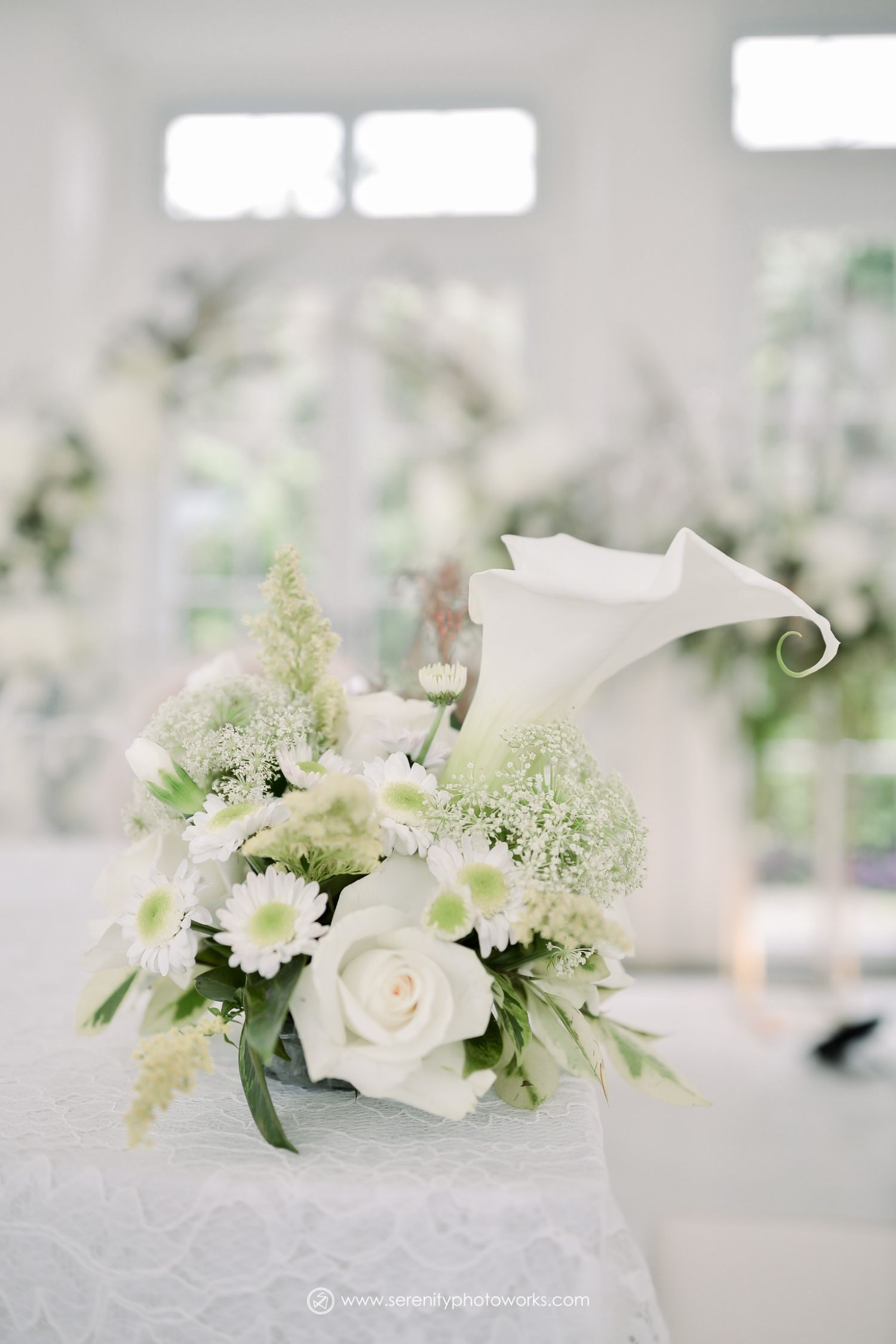 Andy Pohan & Jelita - Andy Pohan & Jelita | Weddingku.com