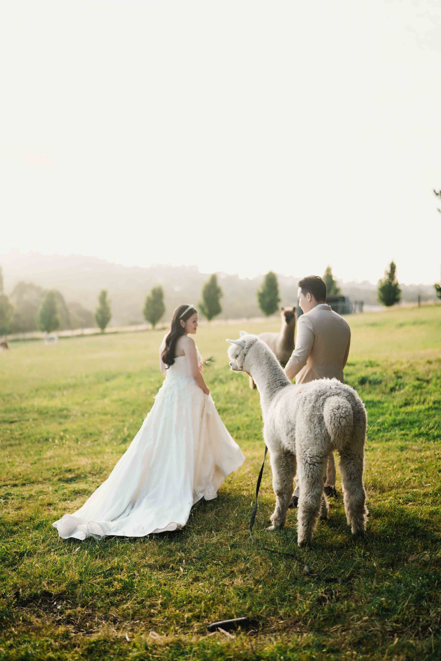 Joshua & Jane Melbourne Wedding - Joshua & Jane Melbourne Wedding ...